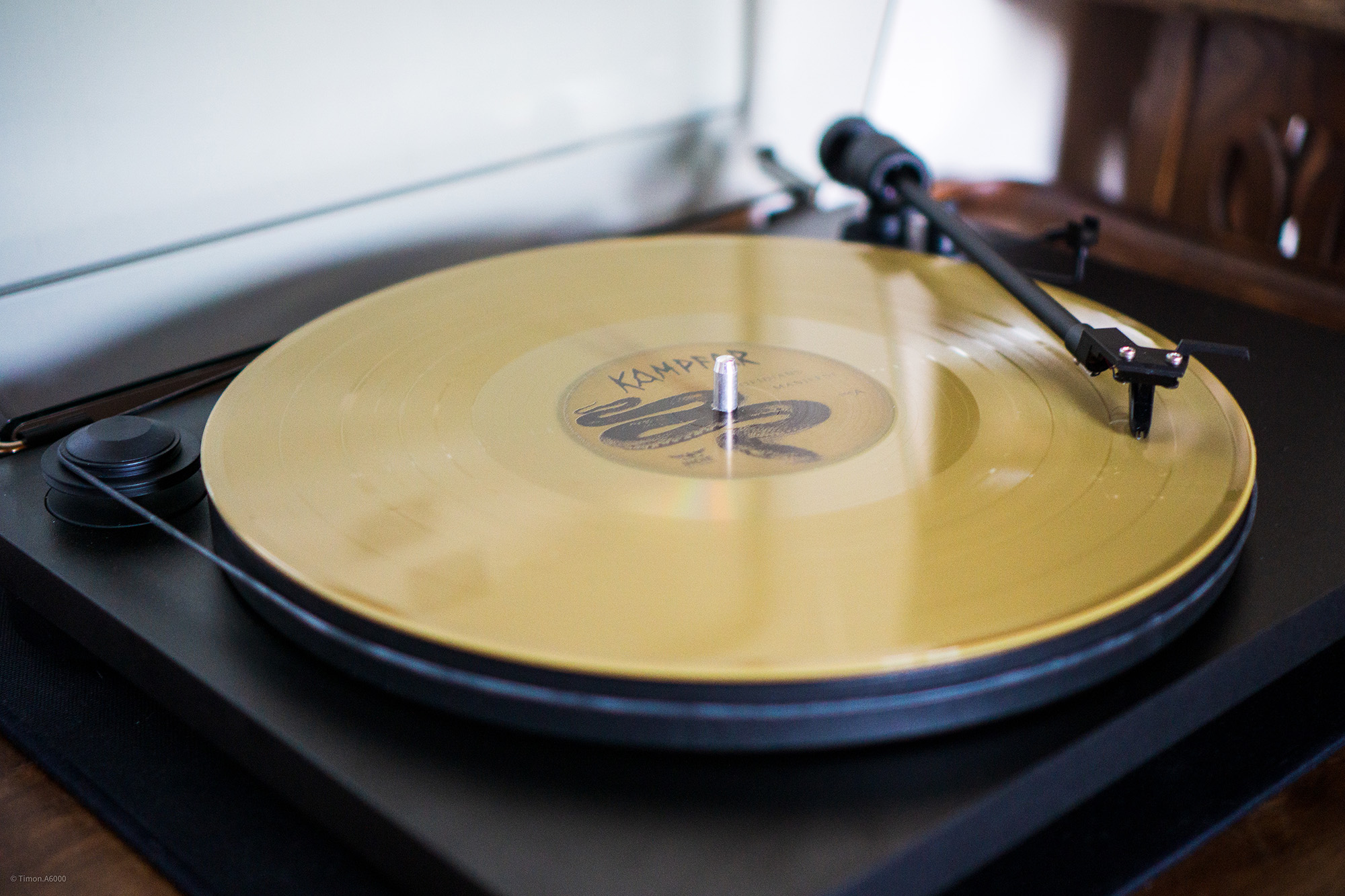 Vinyl Photography – Timon Nap